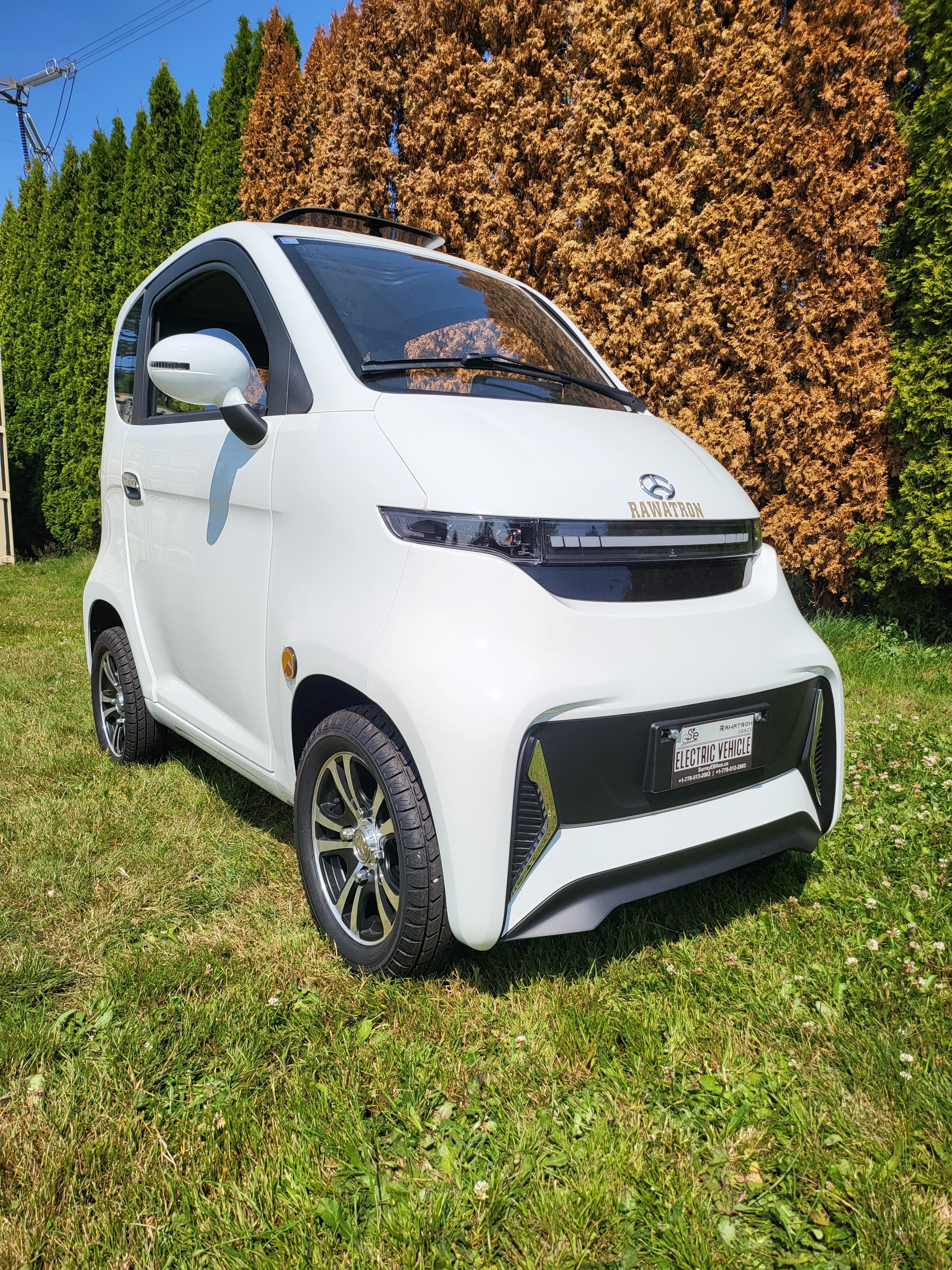 ELECTRIC 3 WHEELER / MOBILITY SCOOTER AND CAR