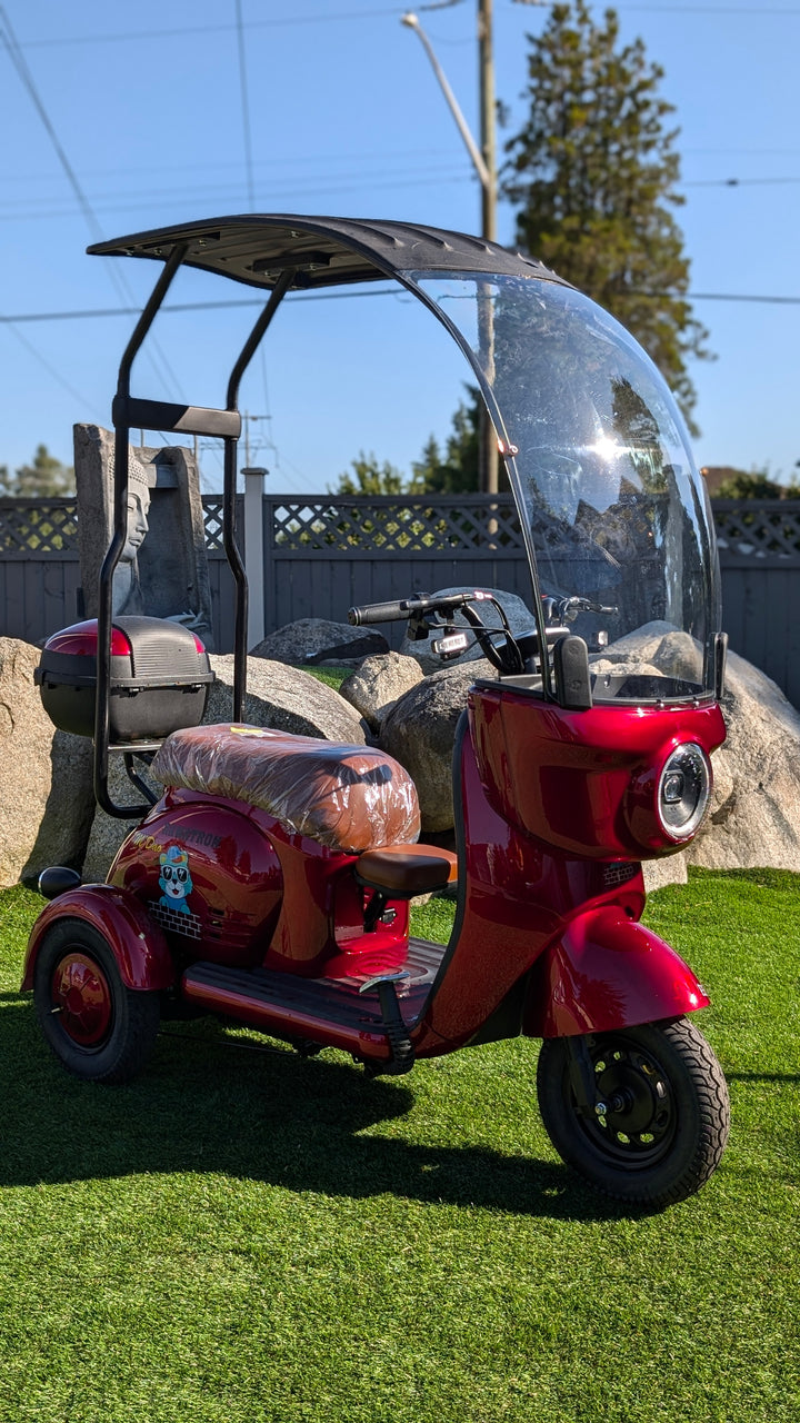 ENCLOSED MOBILITY SCOOTER